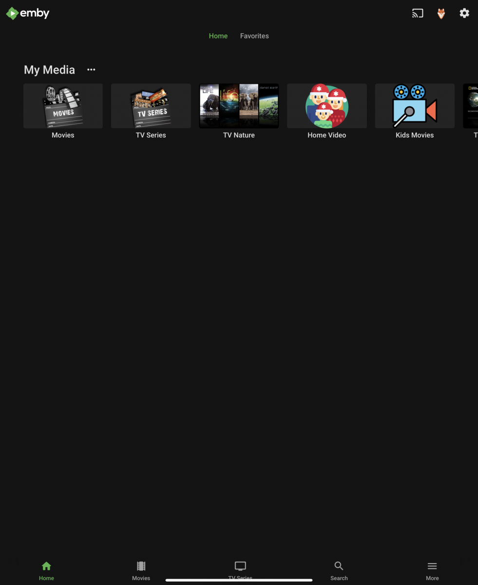 Homescreen Wasted Space - General/Windows - Emby Community