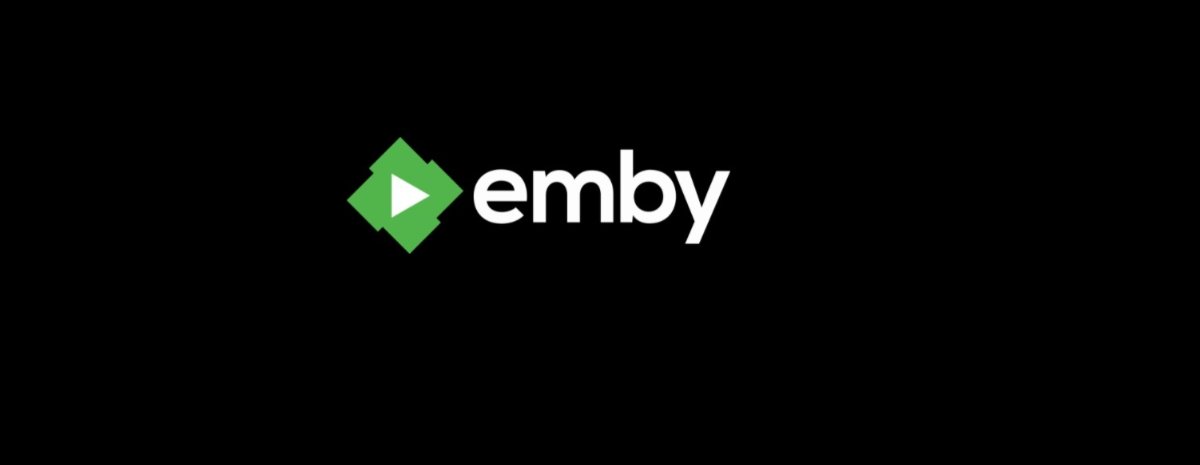 Black screen with emby logo, no further - General/Windows - Emby Community