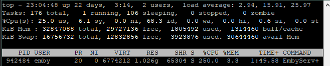 high cpu loads (ubuntu linux) - Linux - Emby Community