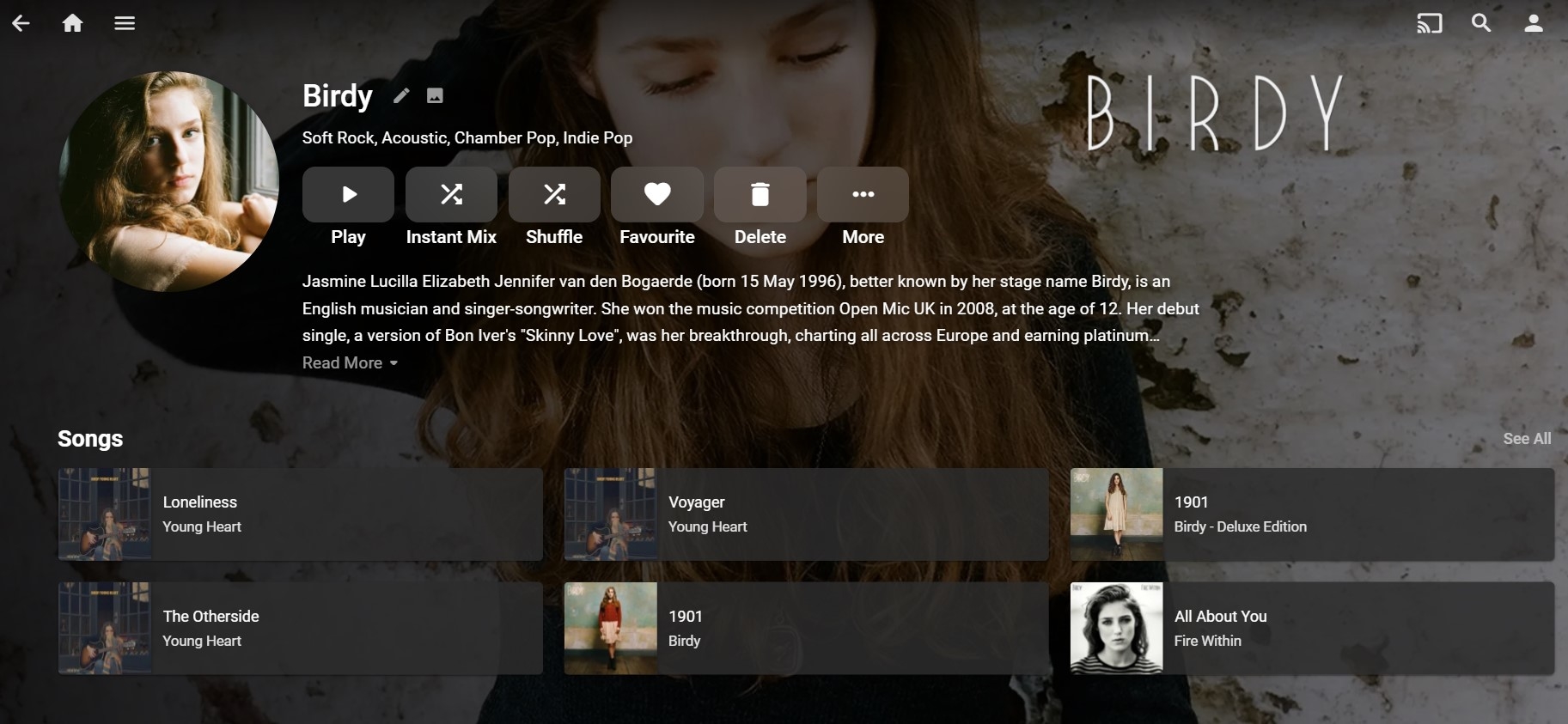 Music Artists adding concerts - General/Windows - Emby Community