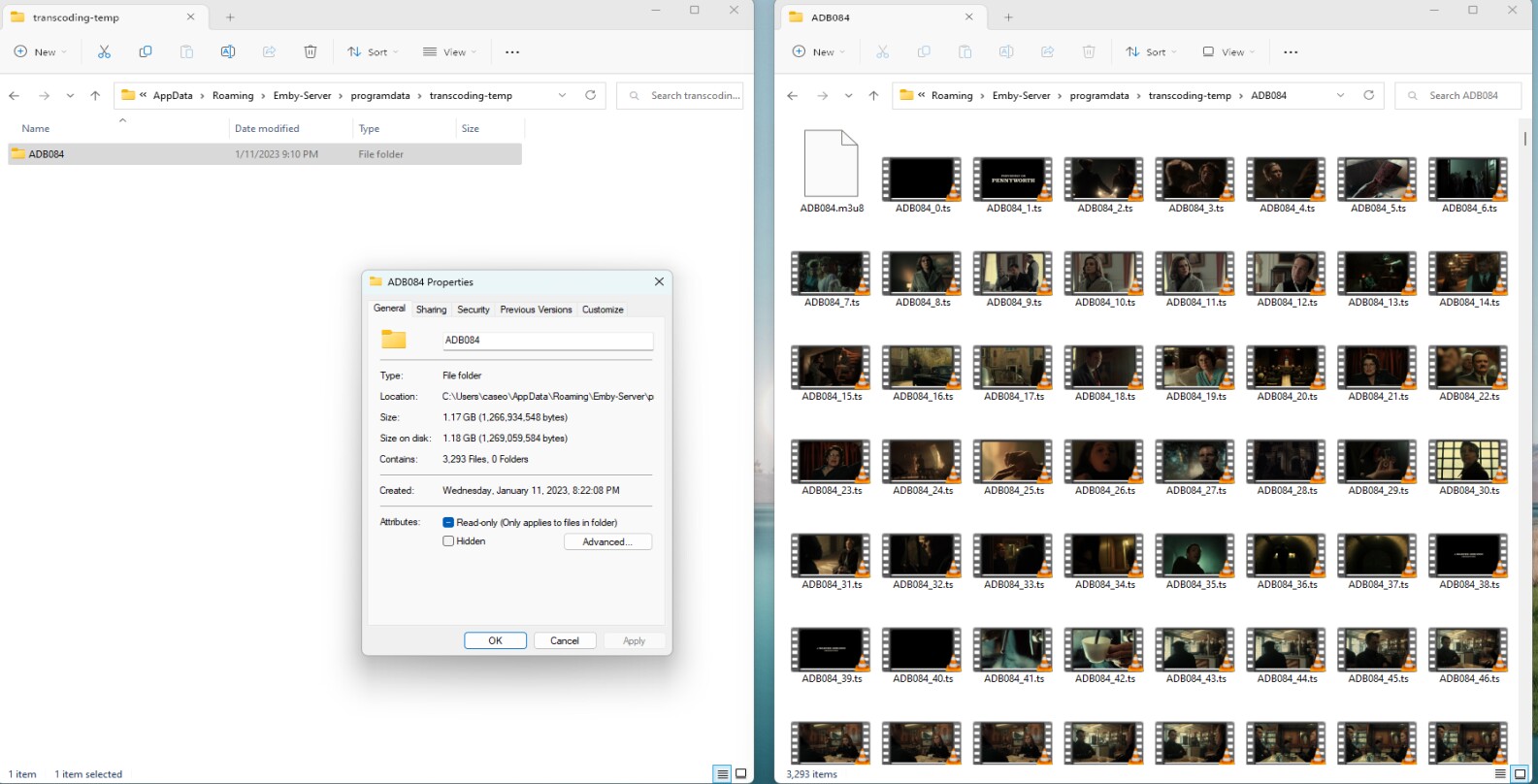 Transcoding File Deletion - Linux - Emby Community