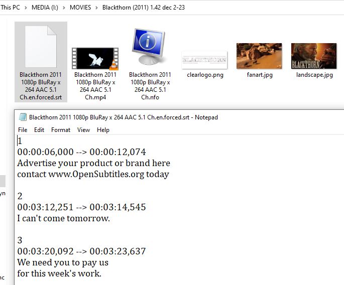 Need Help With Forced Subtitles - General/Windows - Emby Community