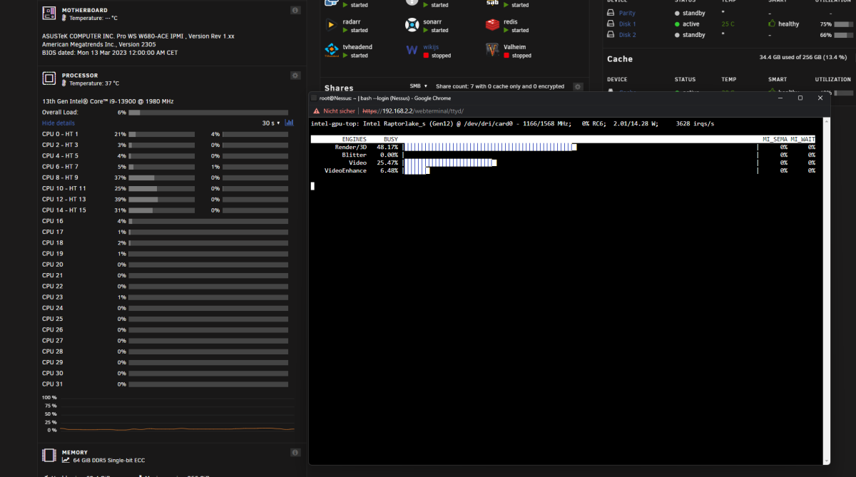 Hardware Transcoding Intel 13th Gen (Unraid + Docker) - General/Windows - Emby Community