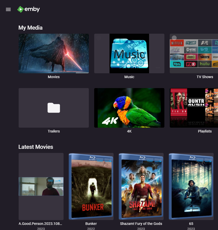 Artwork not downloaded - General/Windows - Emby Community