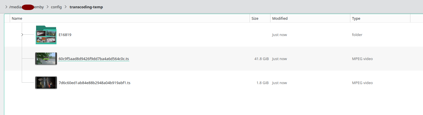 emby/config/transcoding-temp/filename.ts keeps growing in size - Linux - Emby Community