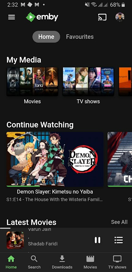 Request for UI Enhancements: Dark Warm Color Palette and Updated Icons - General/Windows - Emby ...