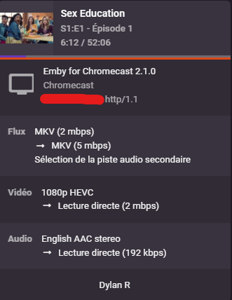 [Transcode] Selecting the secondary audio track - General/Windows ...