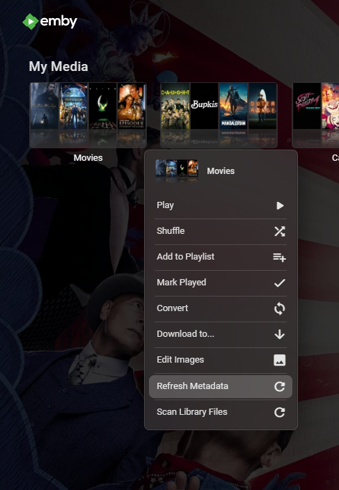 Primary Image download issue - General/Windows - Emby Community
