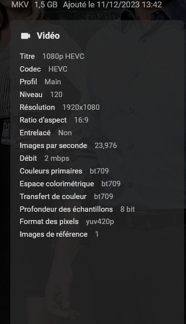Conversion - General/Windows - Emby Community
