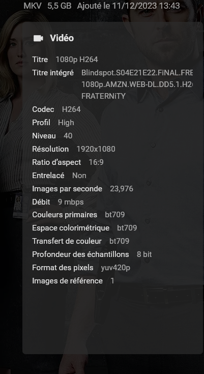 Conversion - General/Windows - Emby Community