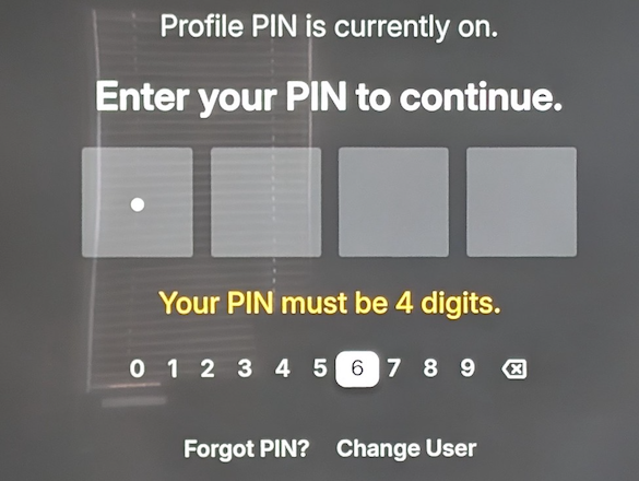 Peek-Proof PIN Prompt - Feature Requests - Emby Community