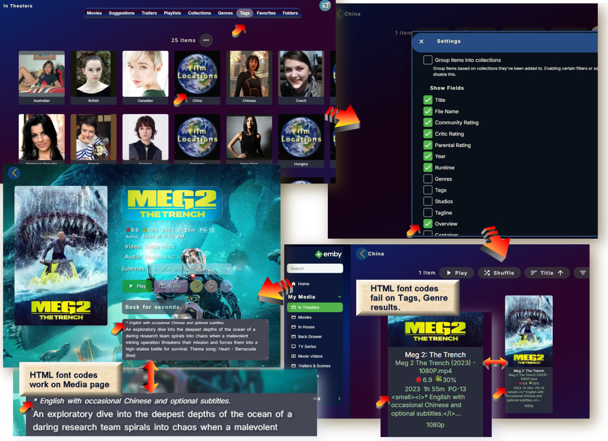 Description supports html code, but poster overview selection doesn't - Web App - Emby Community