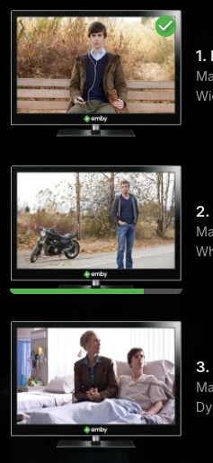 Ability to remove tv border around tv episode thumbnails? - Linux ...