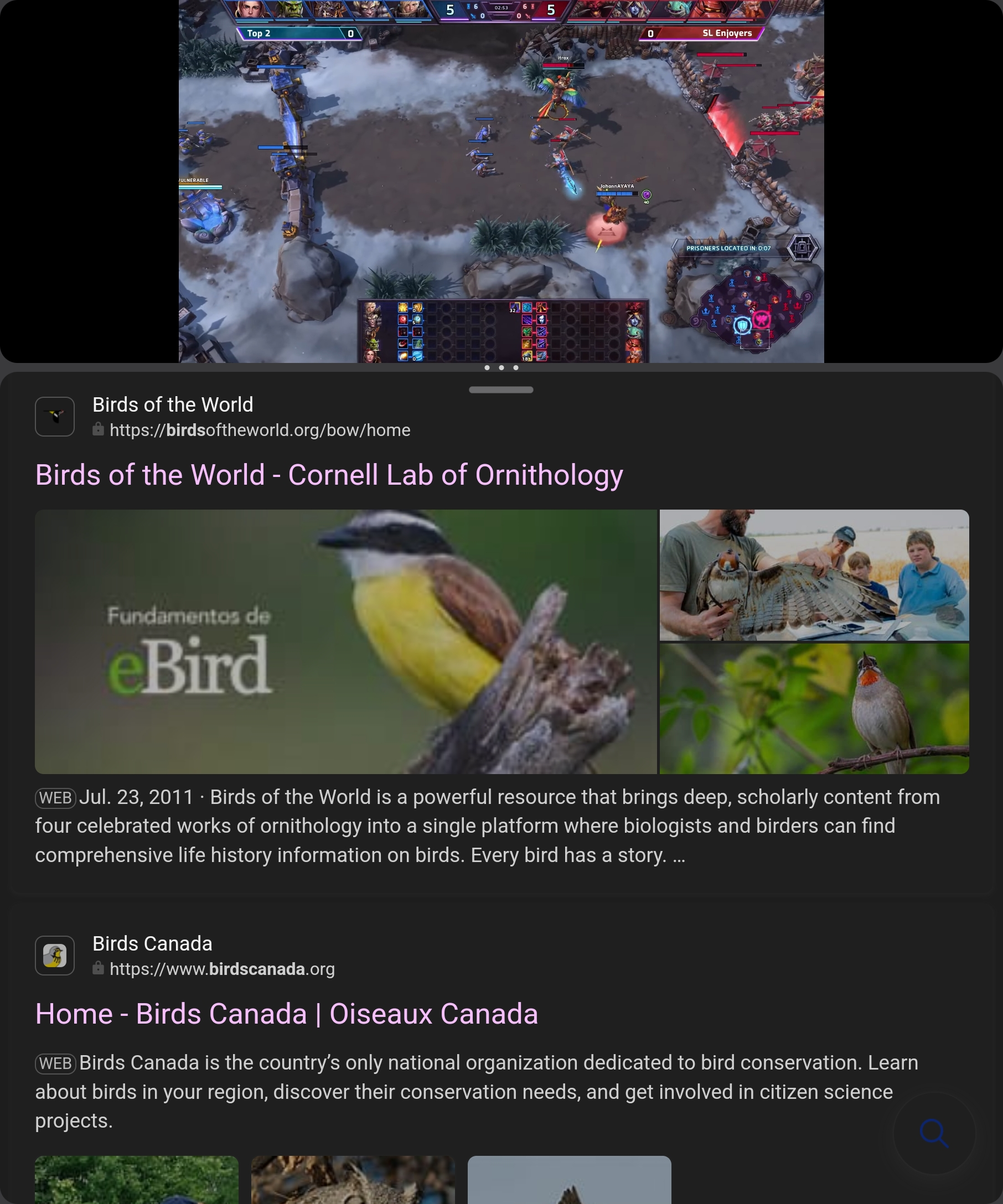 Grey bars on Fold split screen - Android - Emby Community