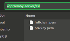 SSL certificate location - Linux - Emby Community