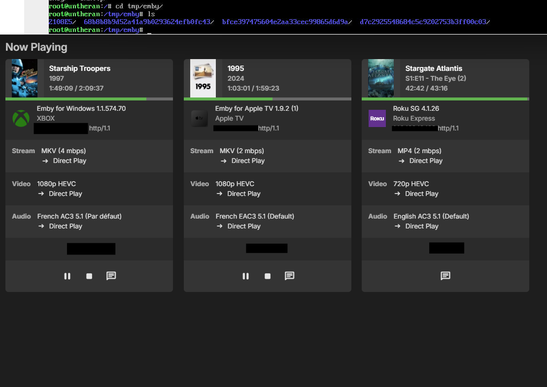 Transcode folder not clearing up thread (Another) - Linux - Emby Community
