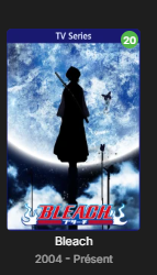 Meta donnée Anime ne s'applique pas correctement - General/Windows ...