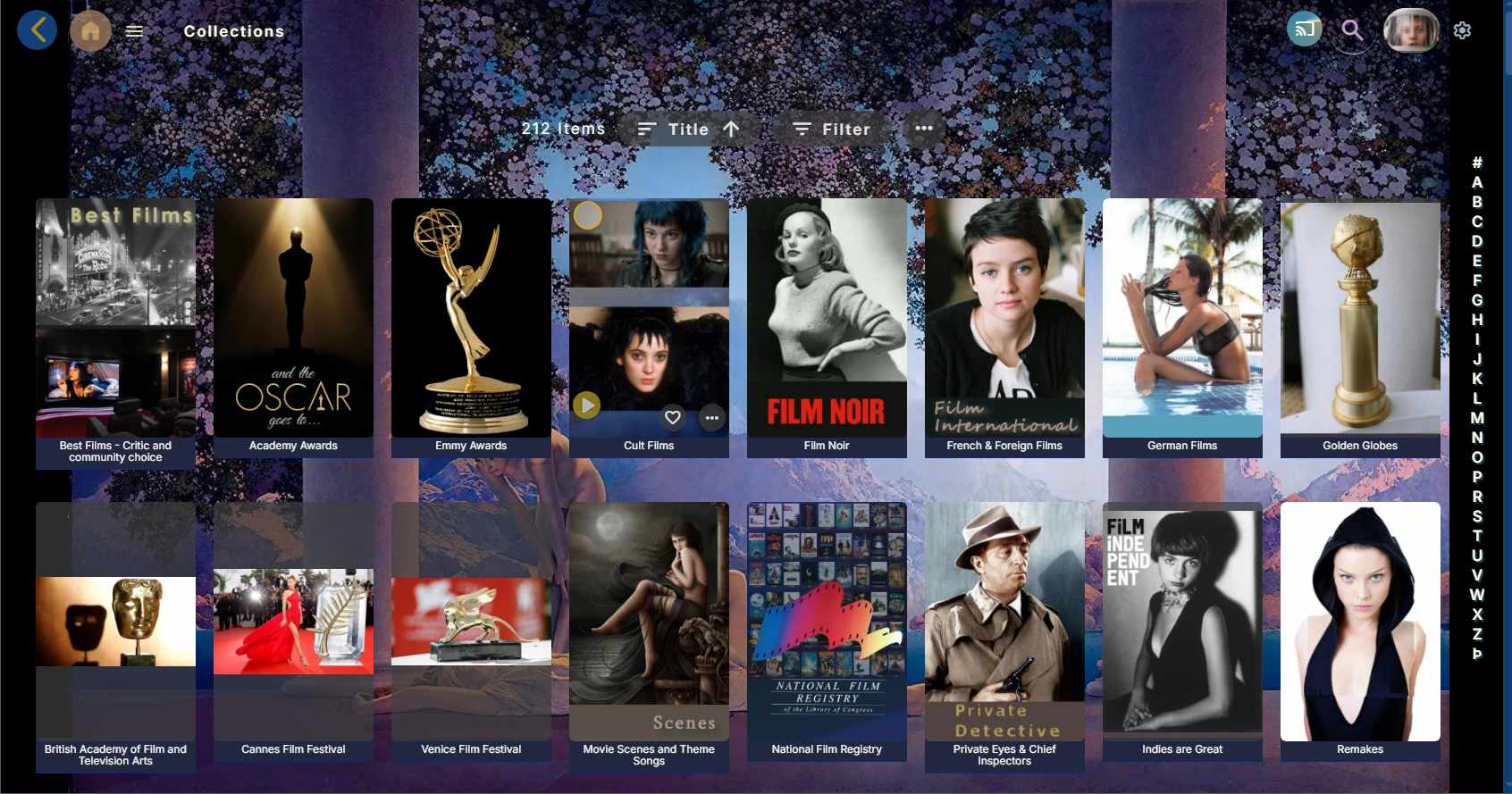 Unable to set Collections - General/Windows - Emby Community